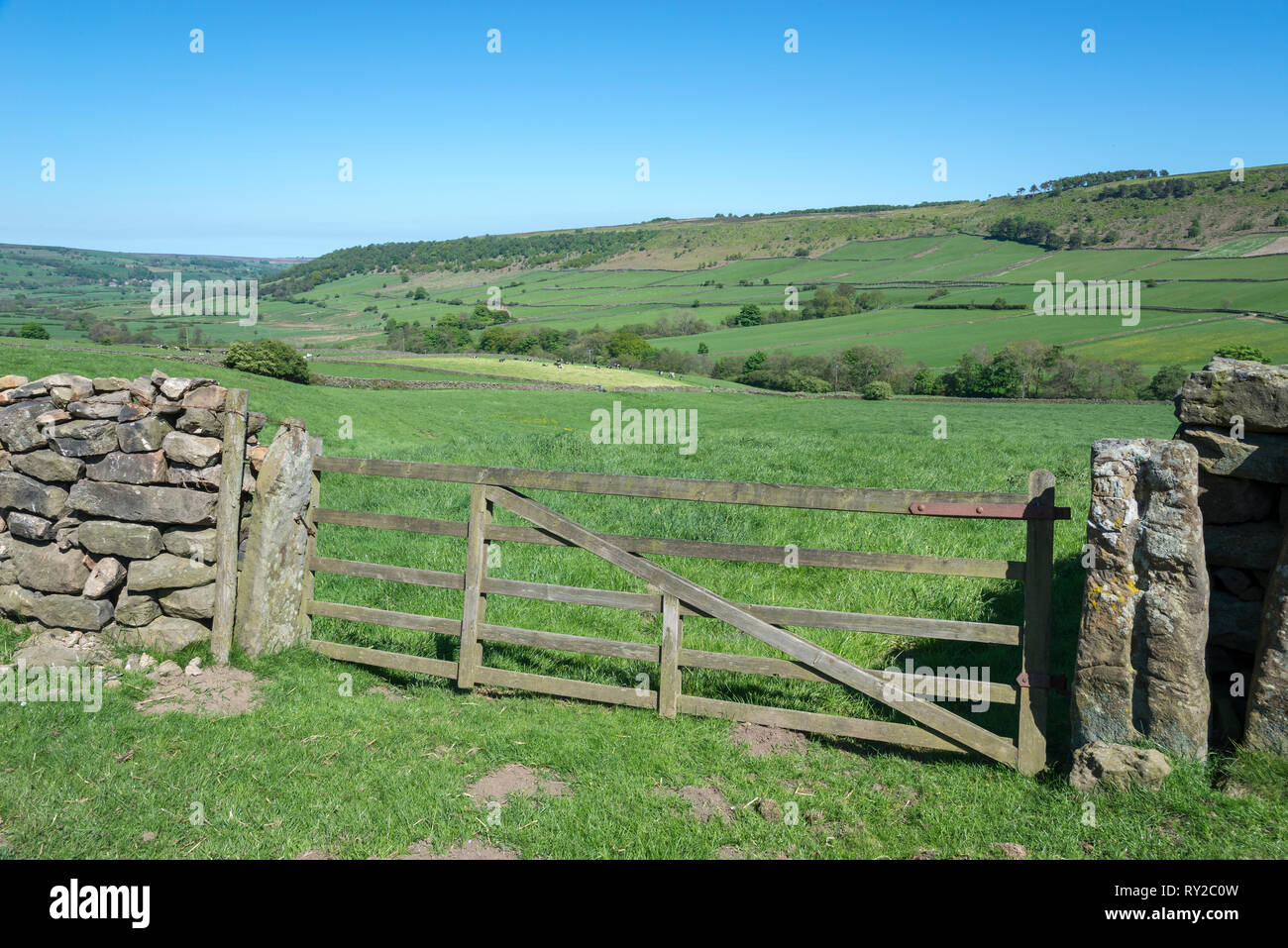 Beautiful countryside in Little Fryup Dale in the North York Moors ...