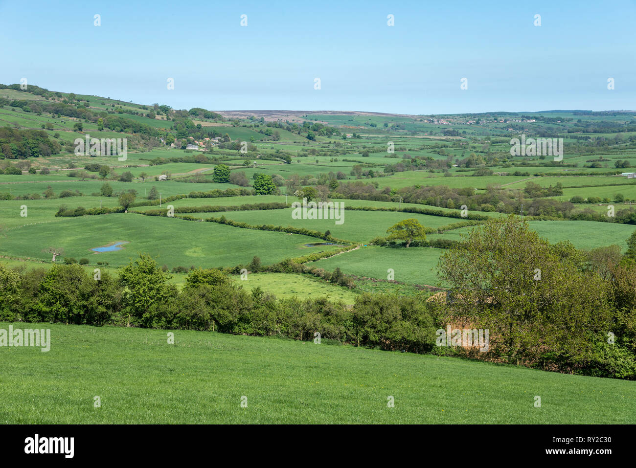 Lush green countryside near Danby in the North York Moors national park ...