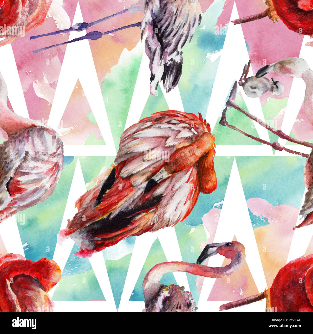 Exotic red flamingo in a wildlife isolated. Watercolor background ...