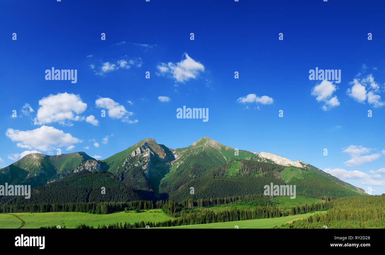 Moutain slope hi-res stock photography and images - Alamy
