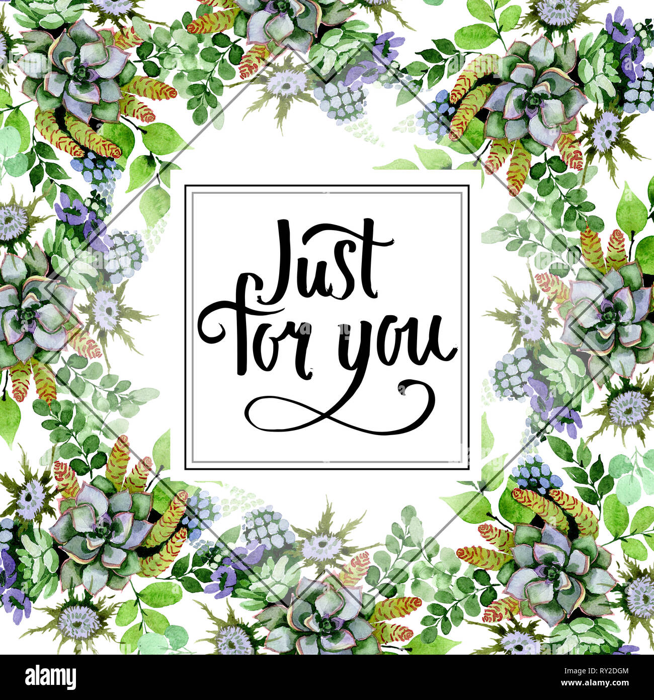 Succulent bouquet floral botanical flowers. Watercolor background ...