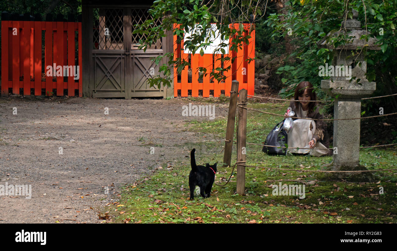 Woman behind foliage hi-res stock photography and images - Alamy