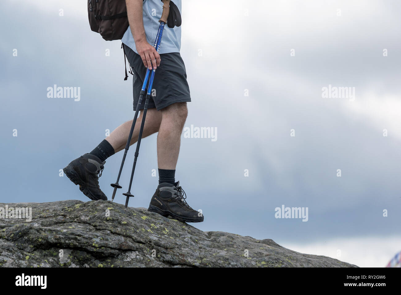 Wanderer Im Wald High Resolution Stock Photography and Images - Alamy