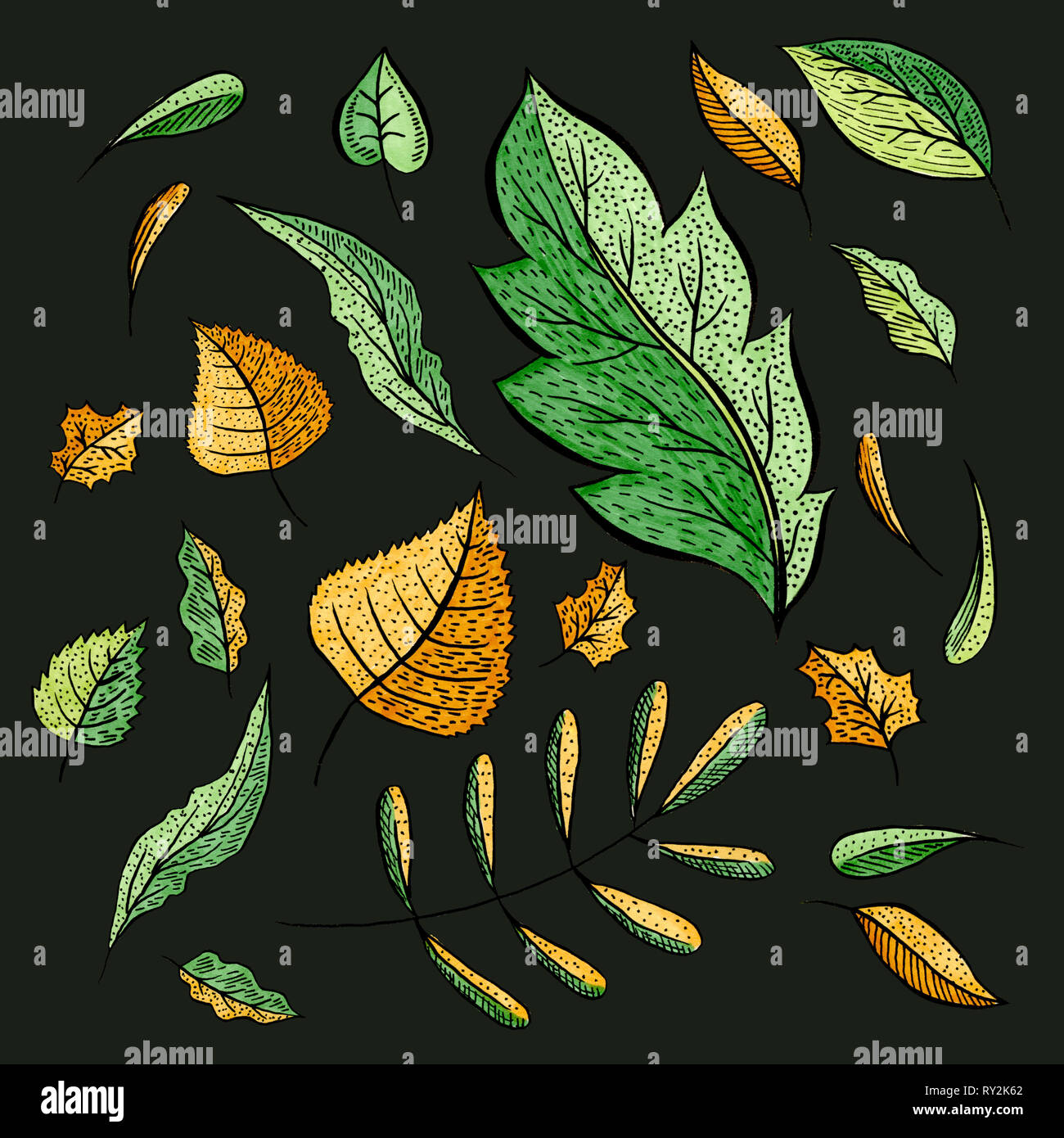 Autumn leaves marker hand drawn illustrations set. Flying isolated cliparts. Fresh green ...