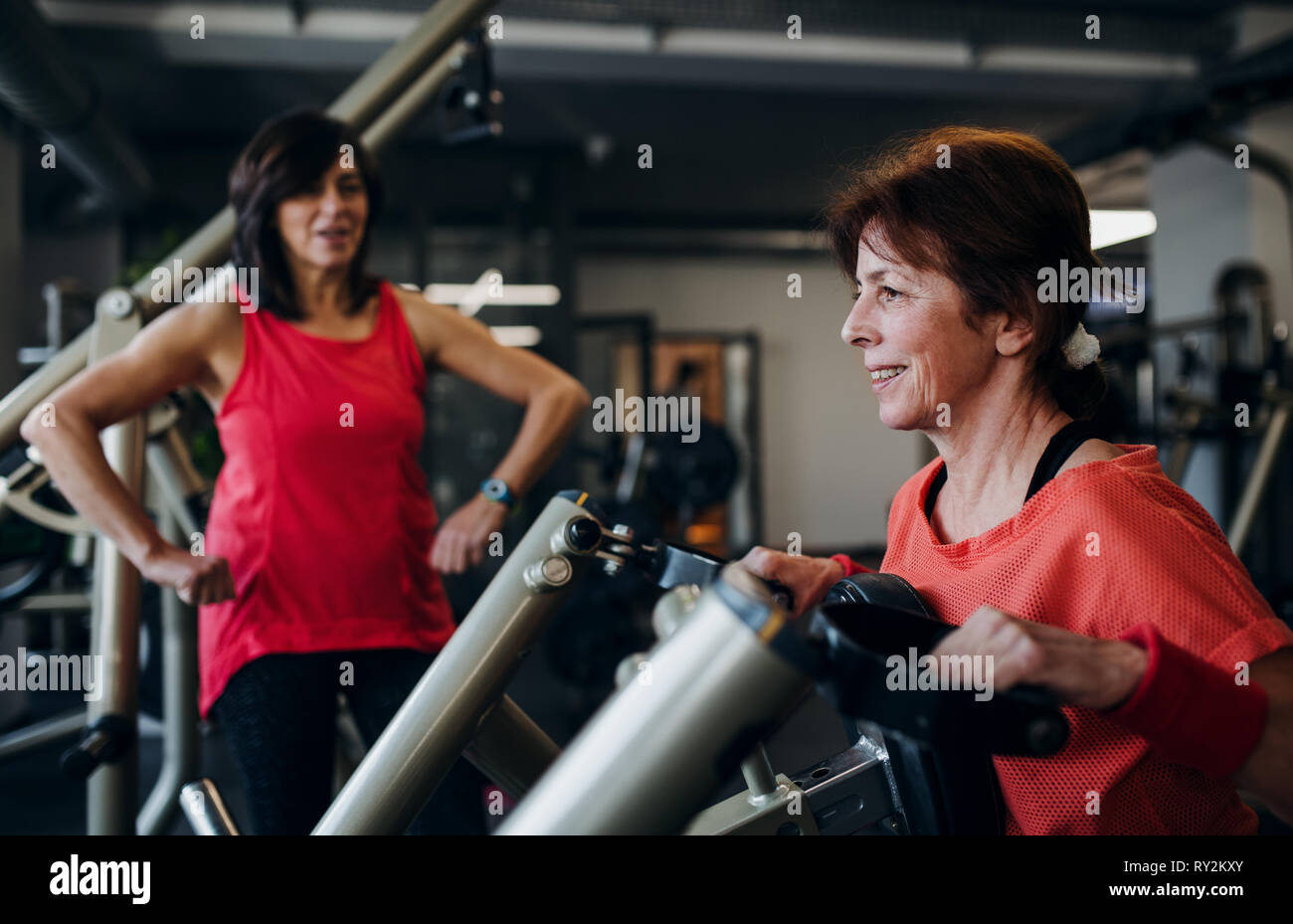 Two cheerful senior women in gym doing strength workout exercise Stock ...