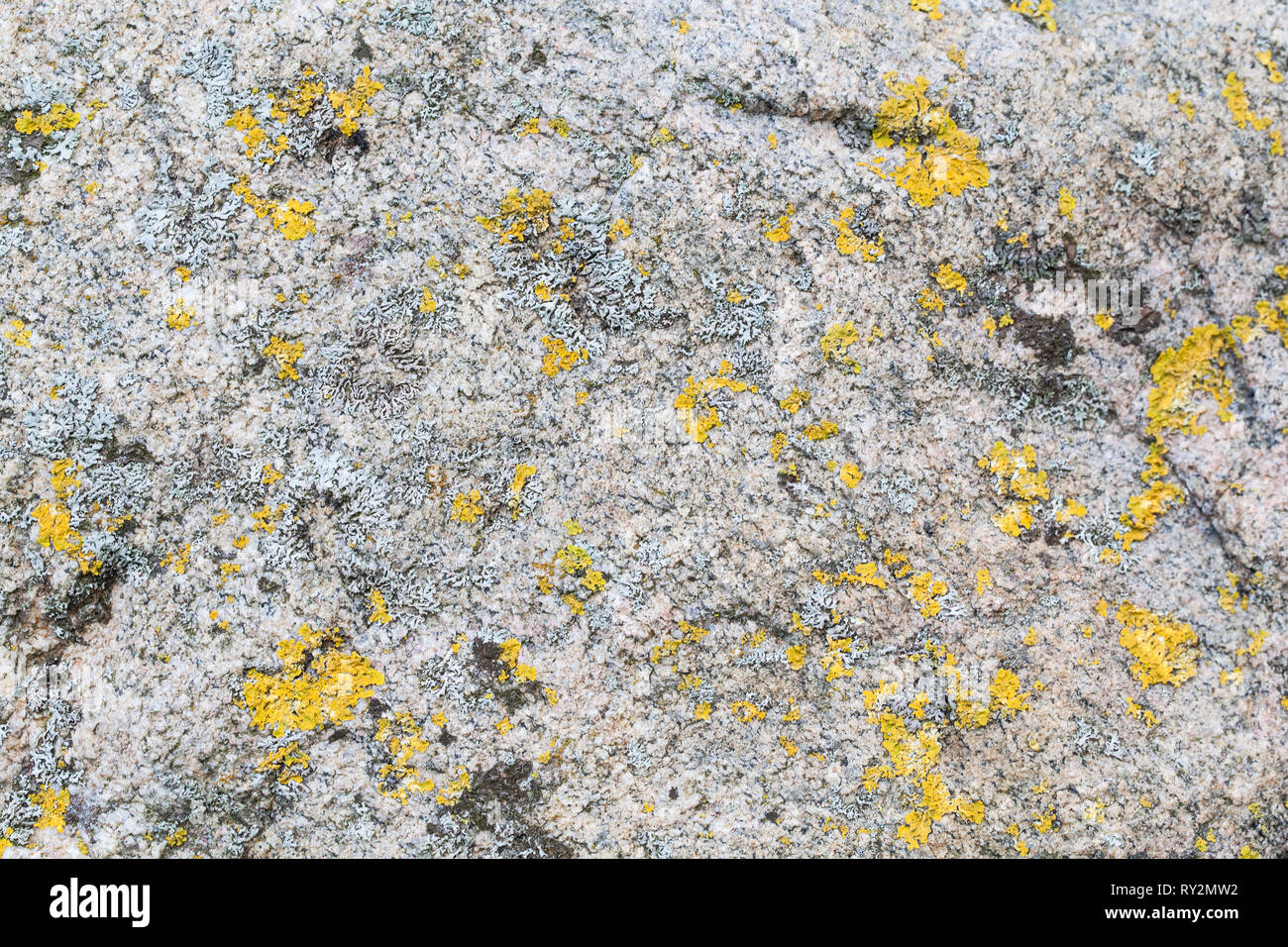 Abstract blurred stone background with moss Stock Photo - Alamy
