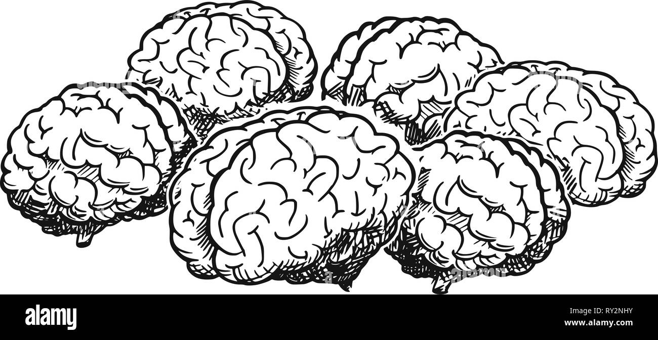 Cartoon of Group of Human Brains Thinking Together During Brainstorming ...