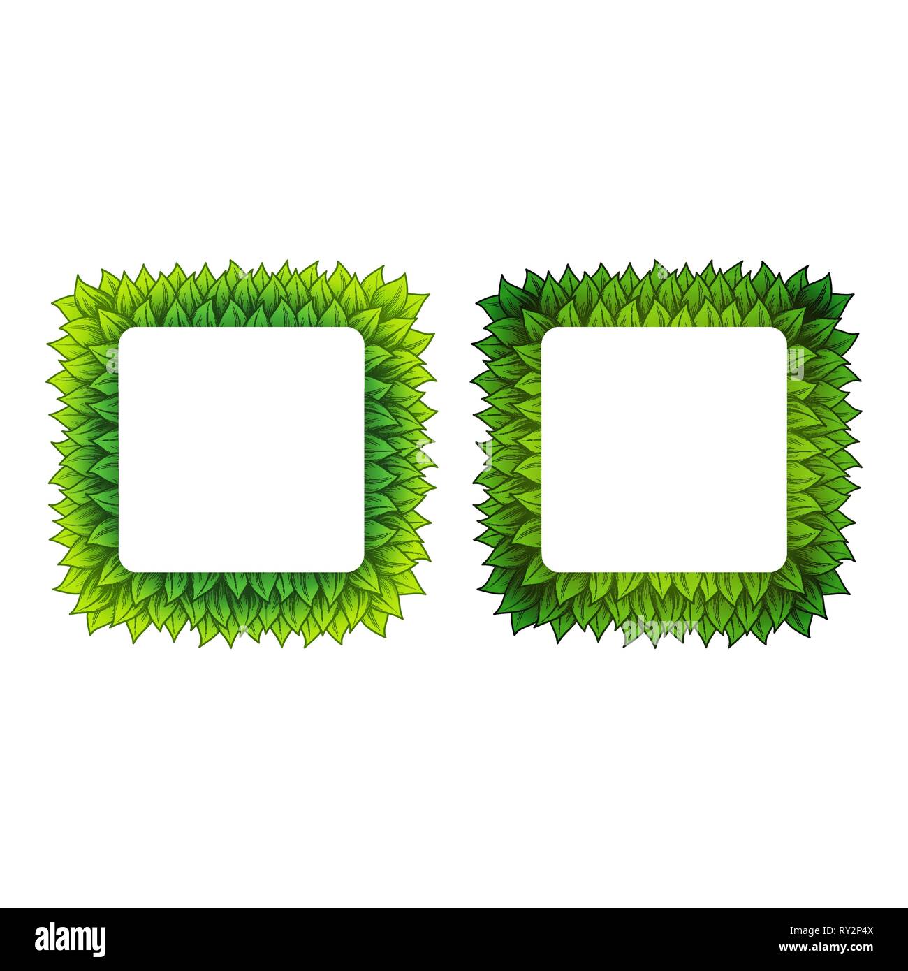 Two square leaves frames isolated on white background Stock Vector ...