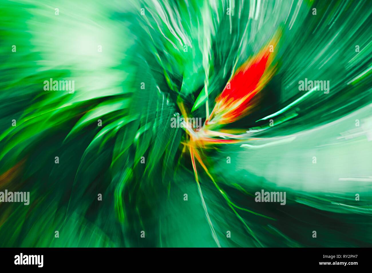 Red stigma in the middle of green petals - Abstract Expressionism ...