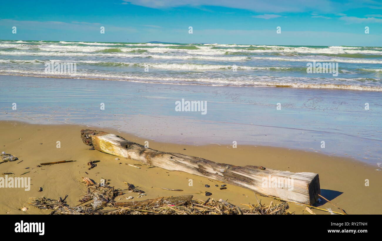 Lumber coastline beach hi-res stock photography and images - Alamy