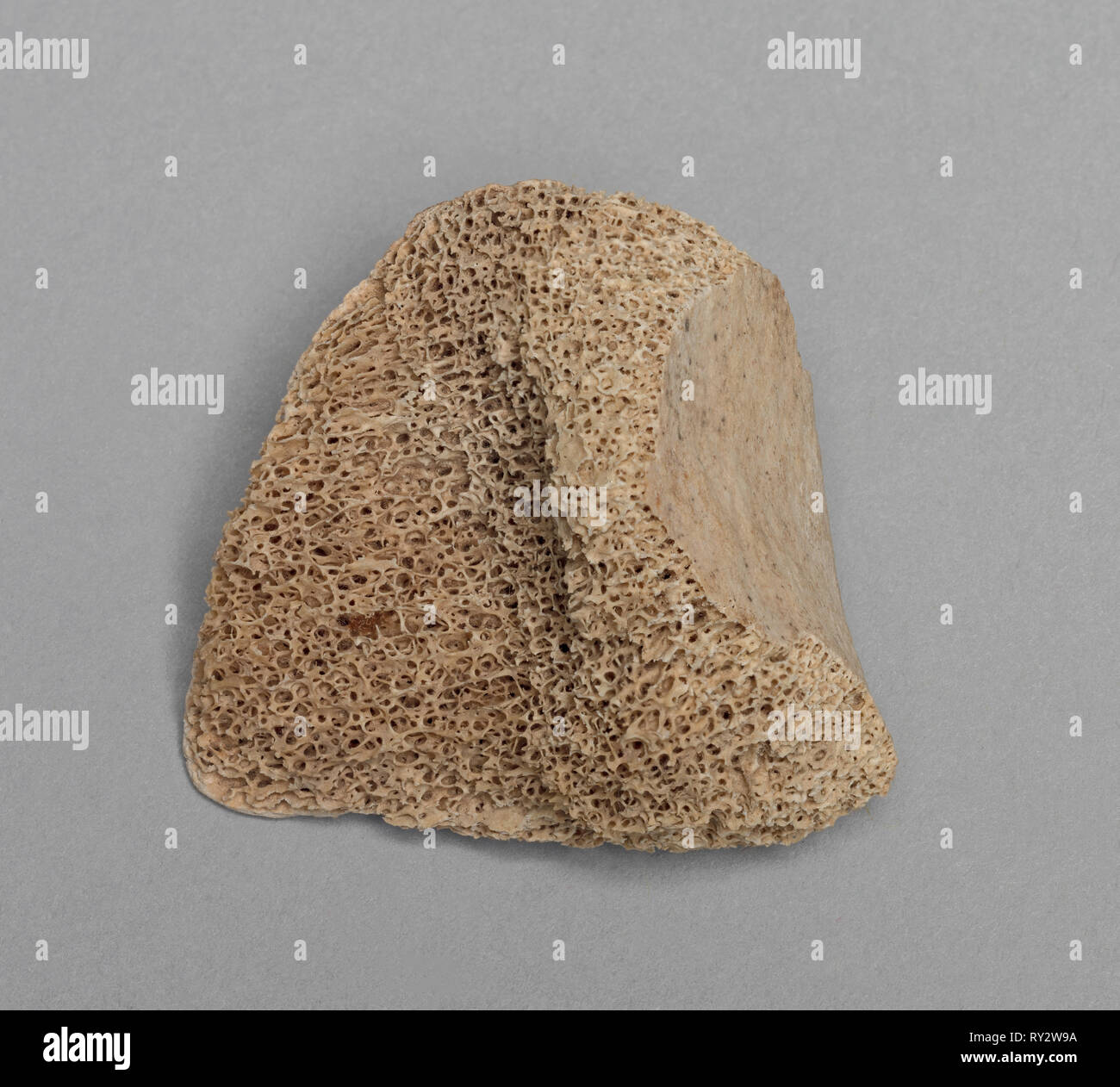 Relic of St. Gregory, c. 1045. Germany, Lower Saxony?, Romanesque ...