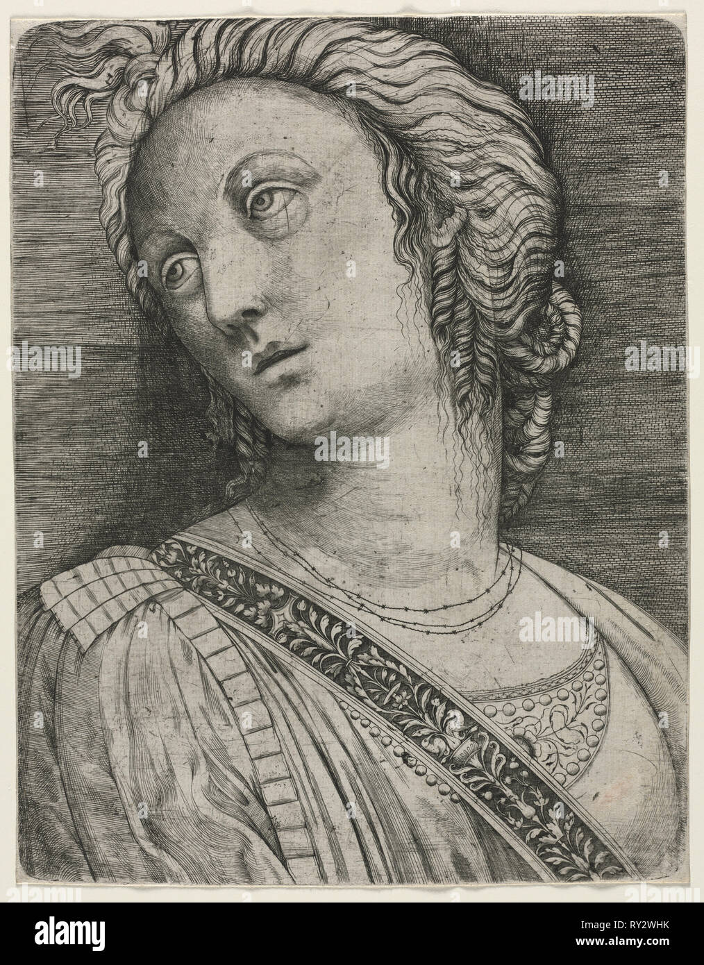 Jacopo des barbari hi-res stock photography and images - Alamy