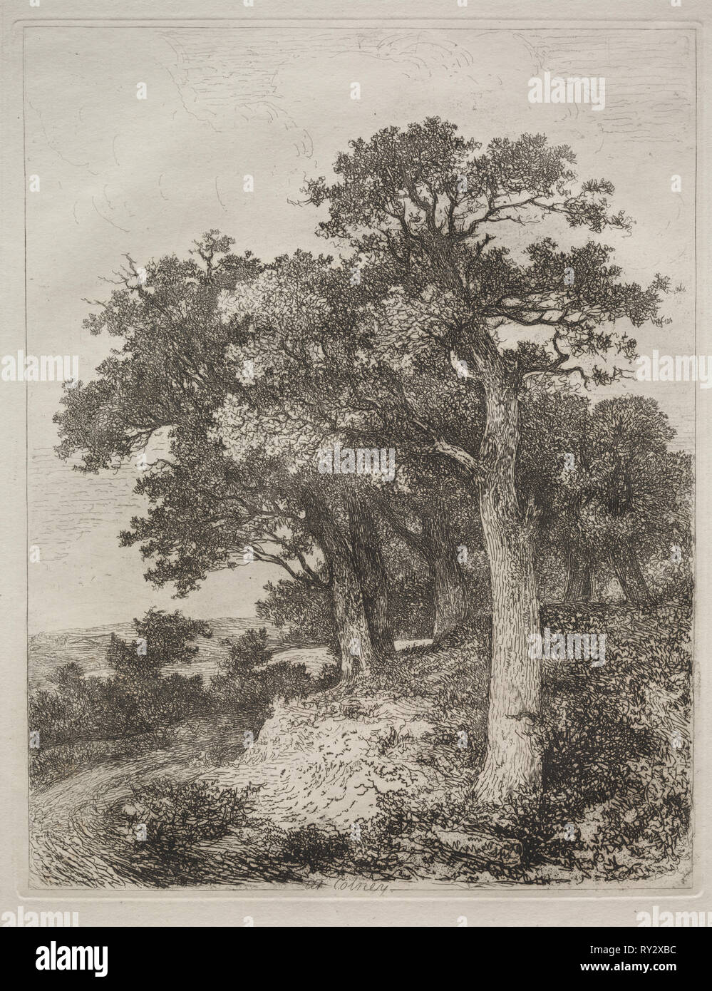 At Colney. John Crome (British, 1768-1821). Etching Stock Photo - Alamy