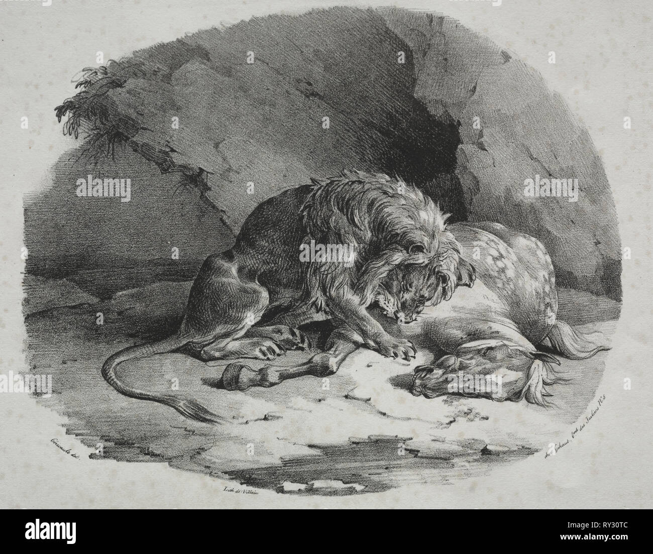 Horse devoured by a lion hi-res stock photography and images - Alamy