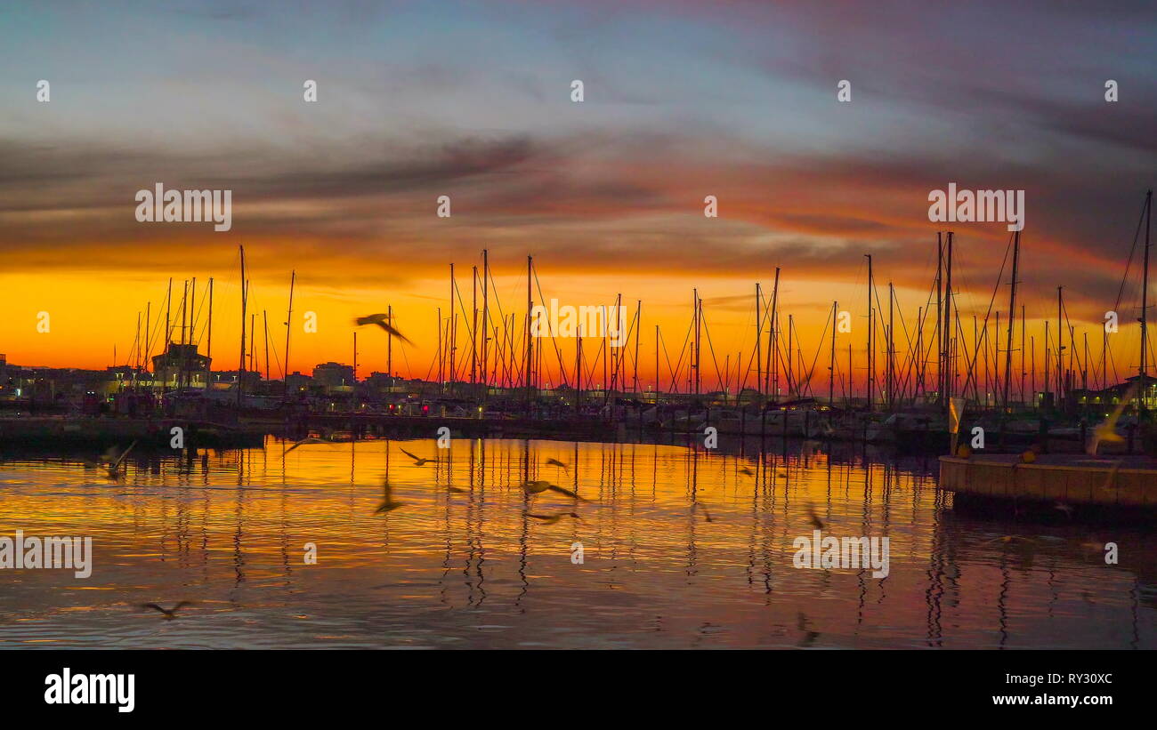 Flying white birds on the Rimini port on an early evening with the ...