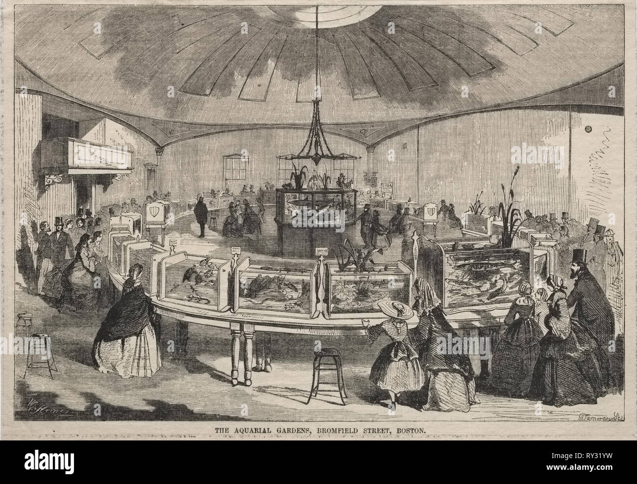 The Aquarial Gardens, Bromfield Street, Boston, 1859. Winslow Homer ...