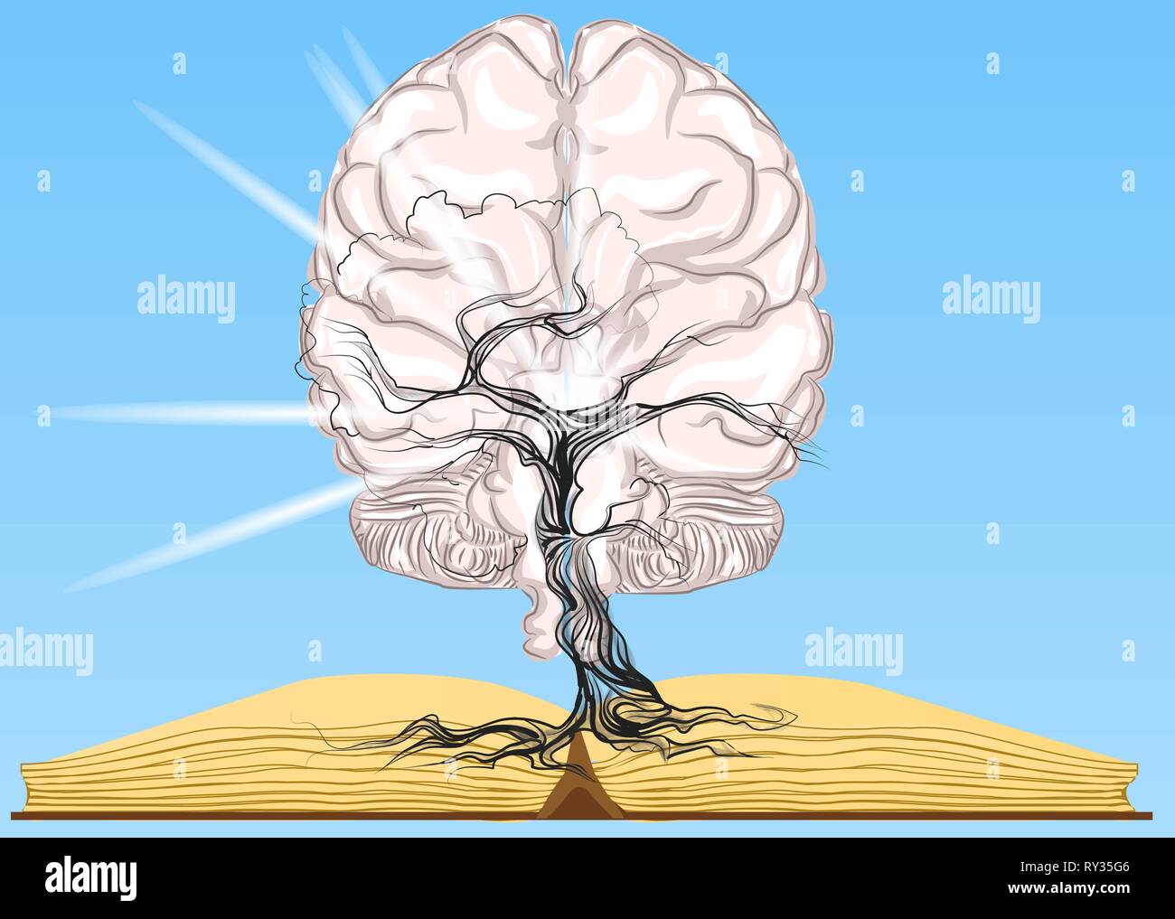 Brain door open open mind hi-res stock photography and images - Alamy