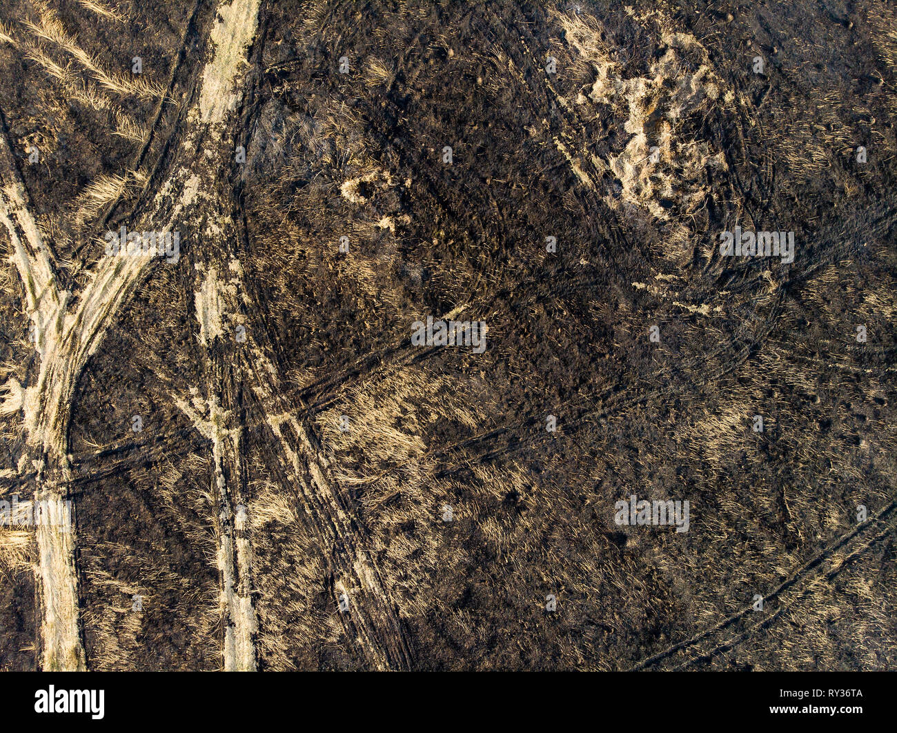 Devastated land, after a fire. Emergency events and disasters Stock ...