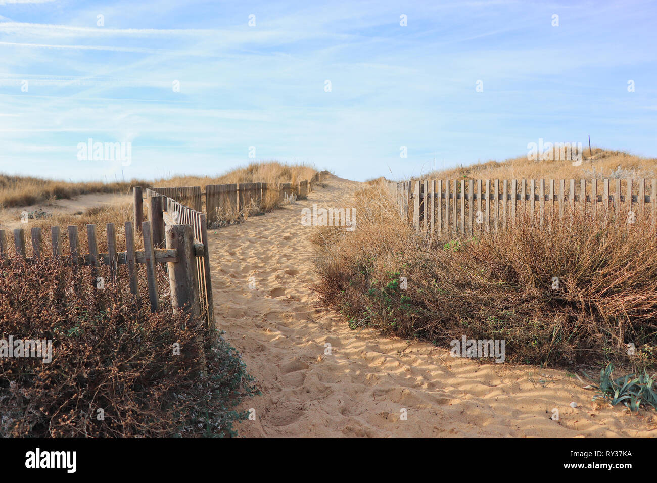 Pathway through the dunes hi-res stock photography and images - Alamy