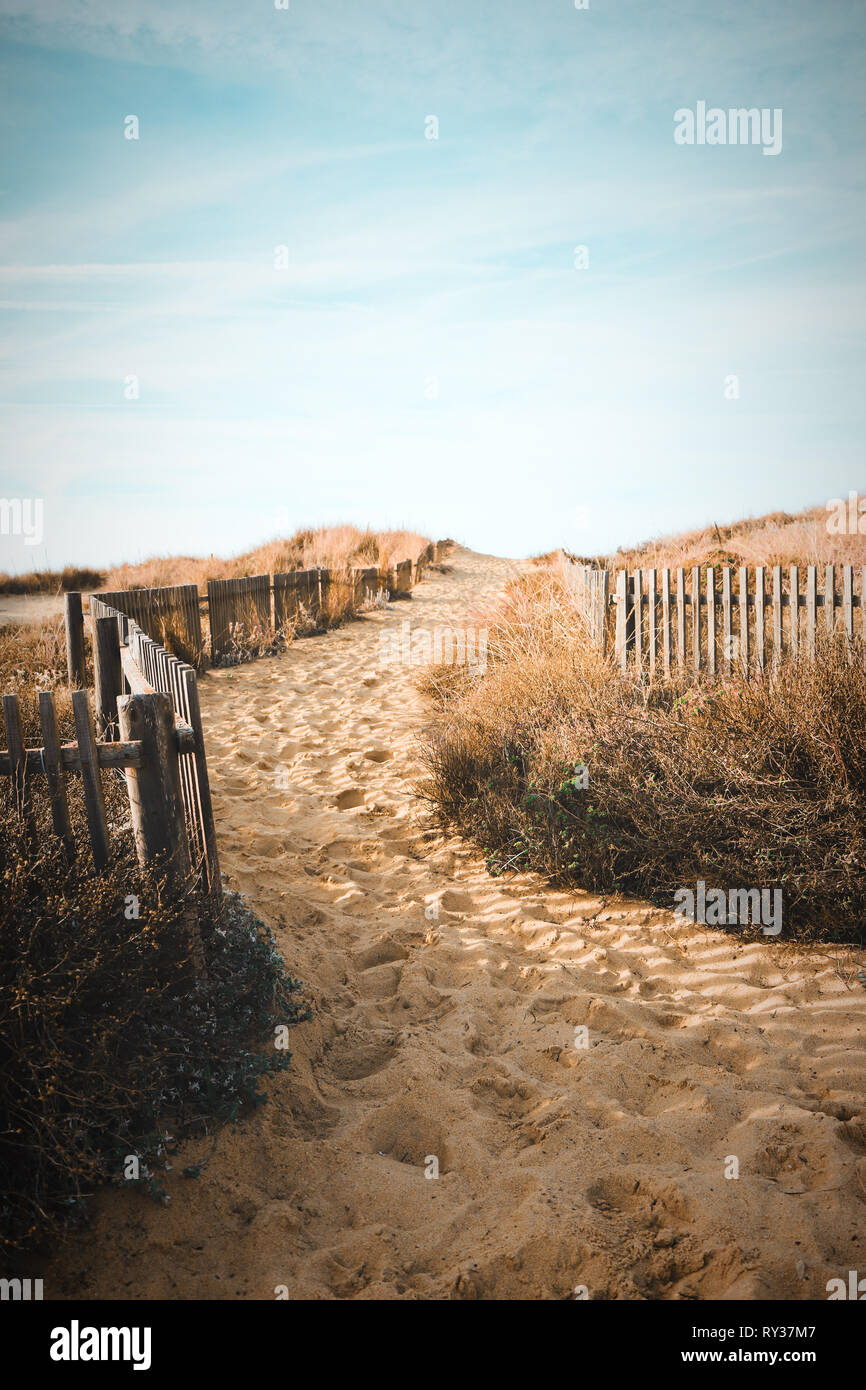 Pathway through dunes hi-res stock photography and images - Alamy