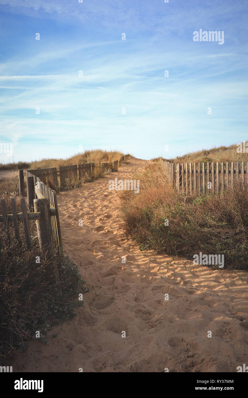 Wooden path through sand dunes hi-res stock photography and images - Alamy