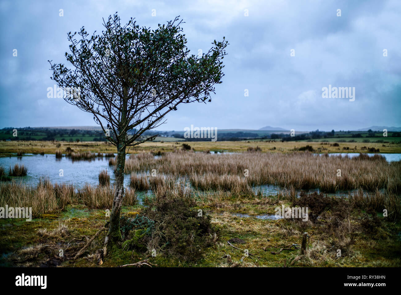 Delphi bridge hi-res stock photography and images - Alamy
