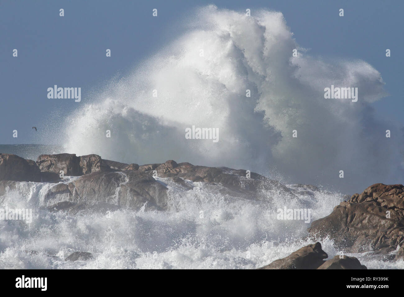 Huge waves splashing in big hi-res stock photography and images - Alamy