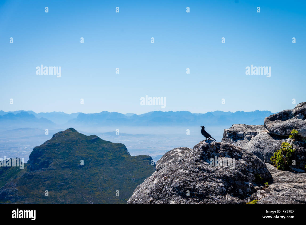 The view from Table Mountain, Cape Town, South Africa Stock Photo - Alamy