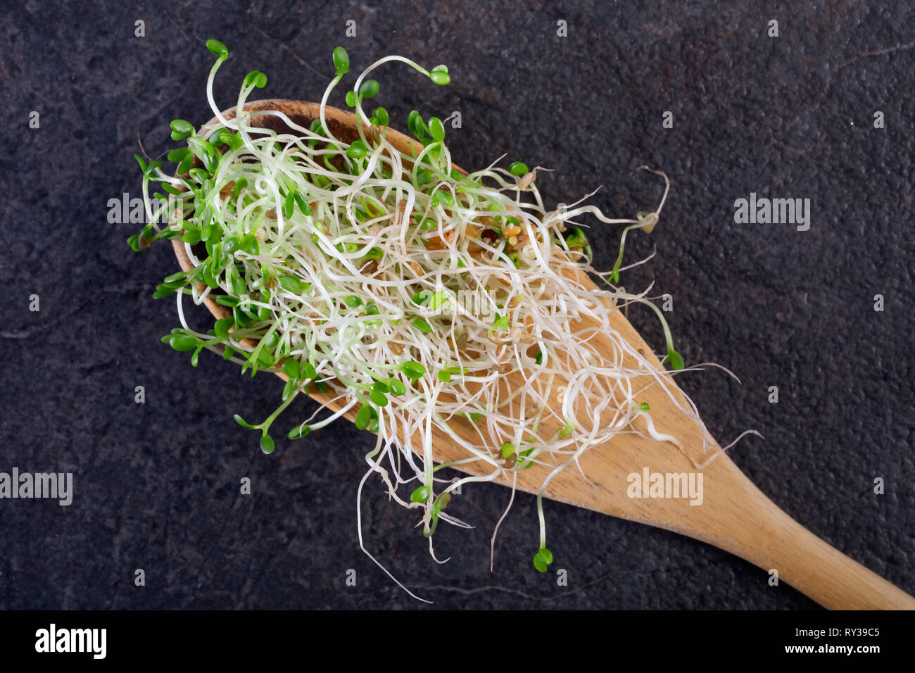 Fresh clover hi-res stock photography and images - Alamy