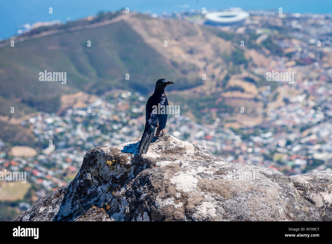 The view from Table Mountain, Cape Town, South Africa Stock Photo - Alamy