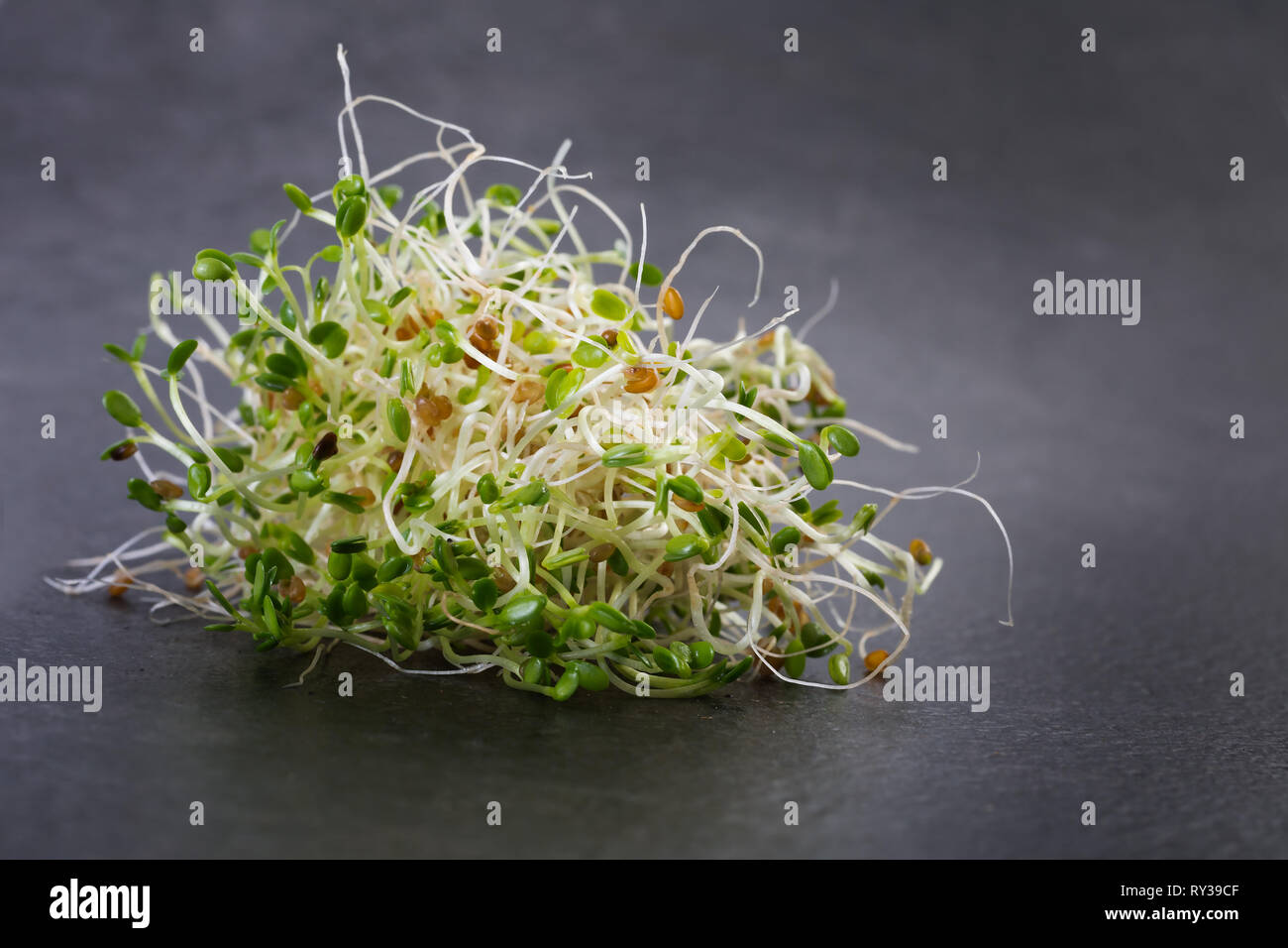 Fresh, raw red clover sprouts Stock Photo - Alamy