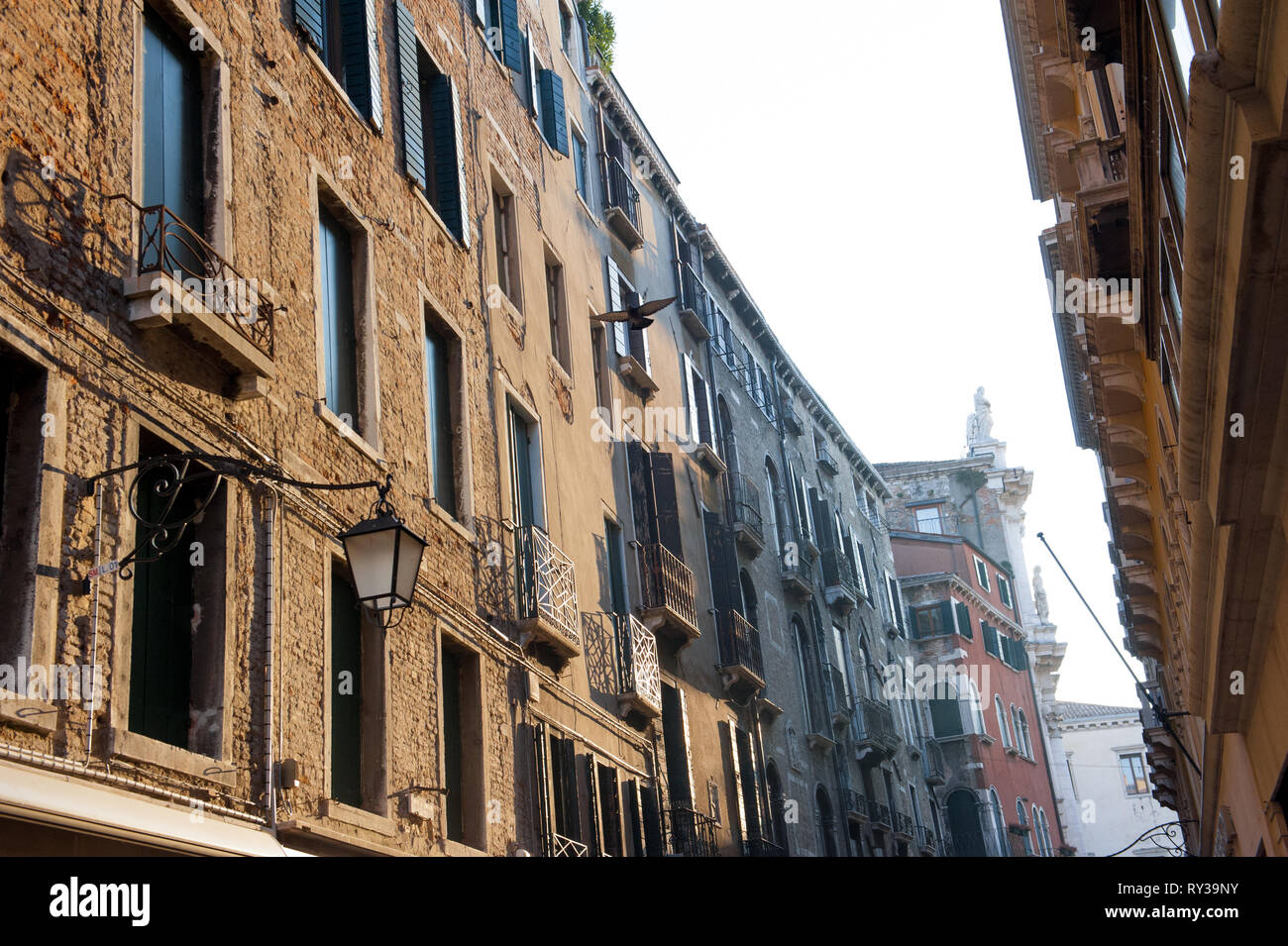 Flying between buildings hi-res stock photography and images - Alamy