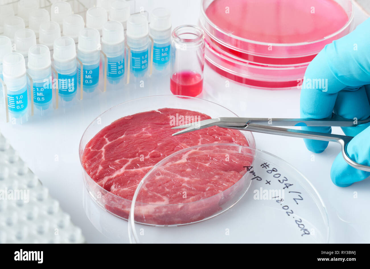 Meat sample hi-res stock photography and images - Alamy