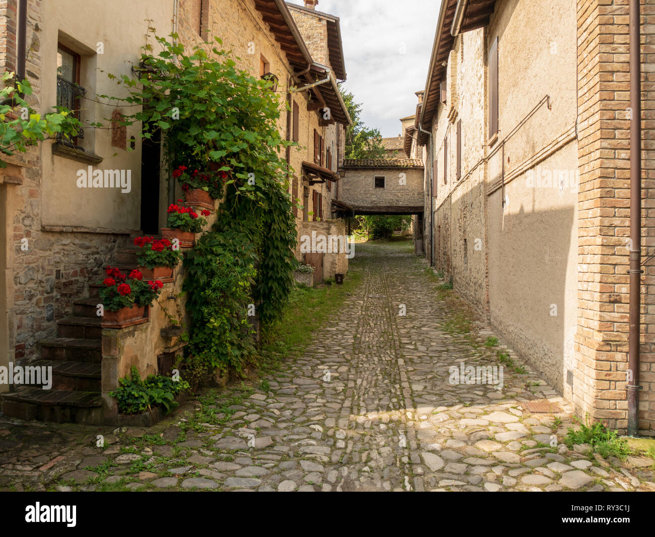 Old cobblestone path between houses and an ivy-guarded entrance on ...
