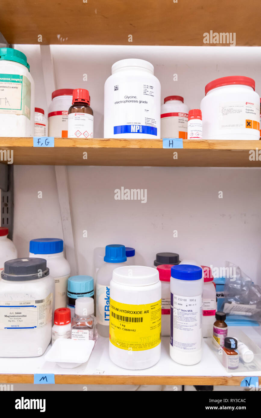 Chemical reagents in a laboratory for drug research Stock Photo - Alamy