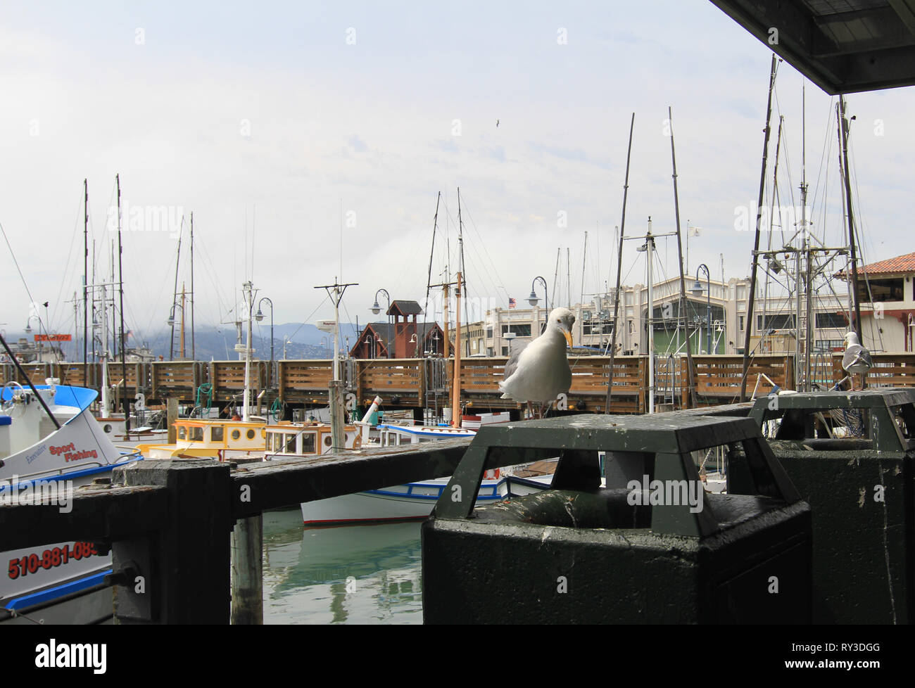Yachts and other sailboats moored in the pier and the freight train ...