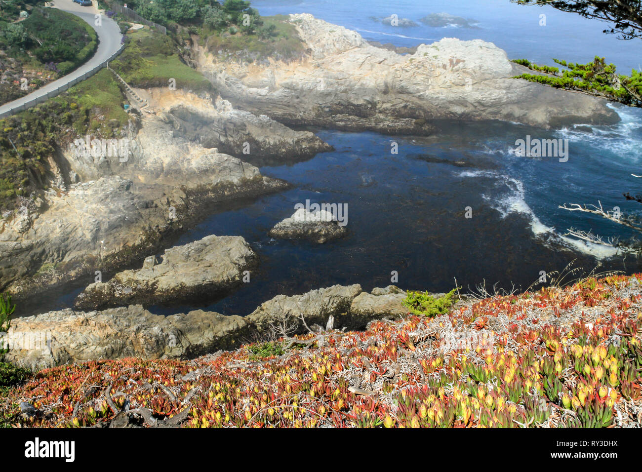 Slope covered with flowers on rocky ocean shore with seaside road turn ...