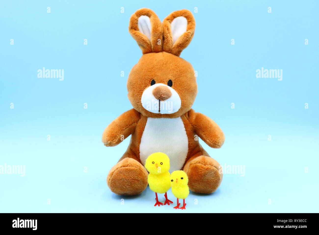 Chicken Teddy High Resolution Stock Photography and Images - Alamy