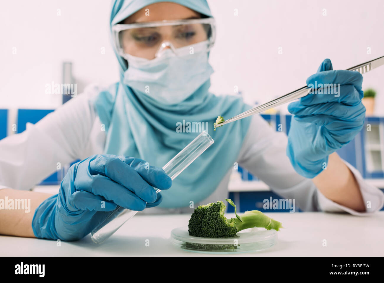 female muslim scientist putting broccoli sample into test tube during ...