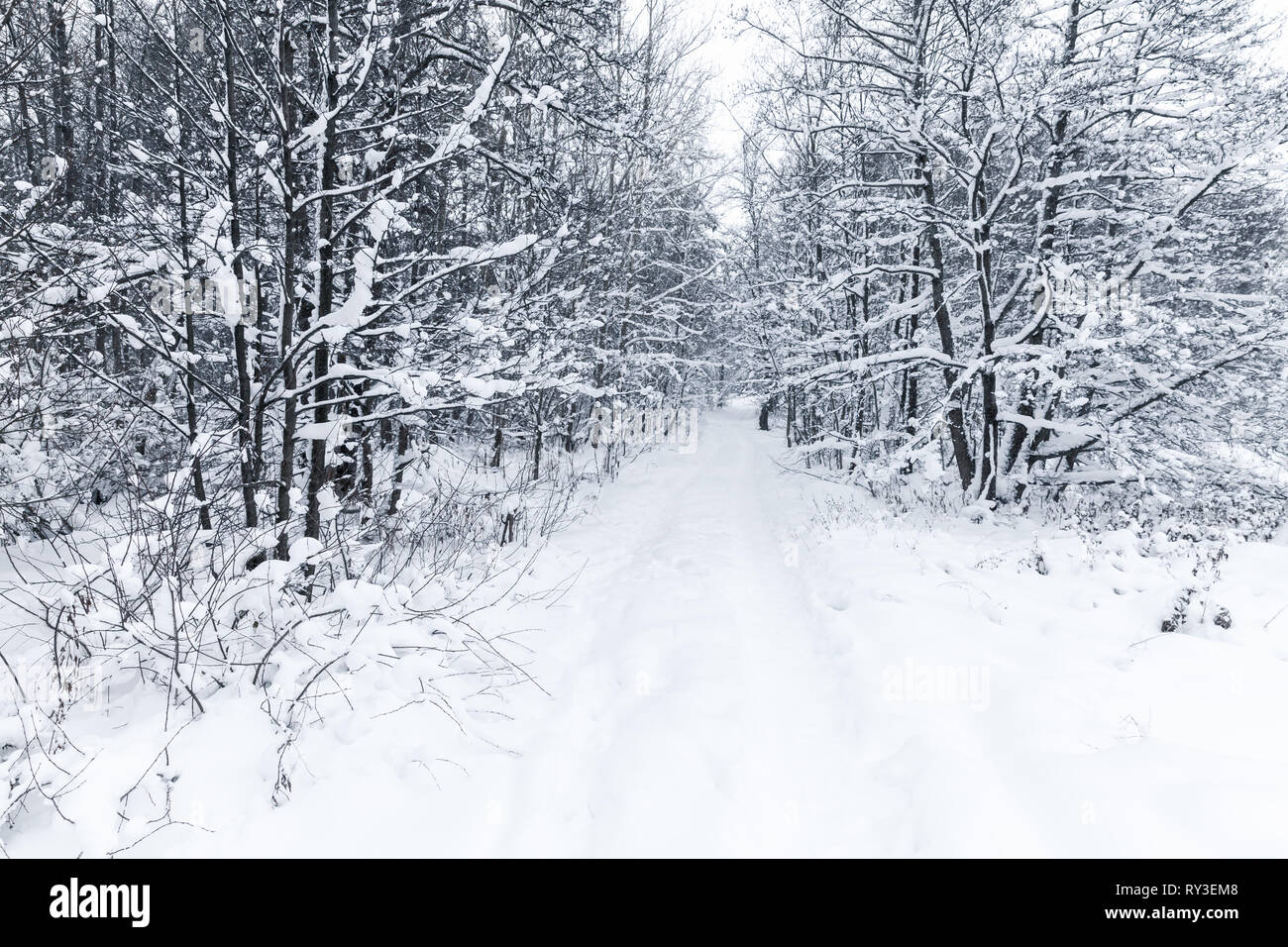 White landscape outdoor road hi-res stock photography and images - Alamy