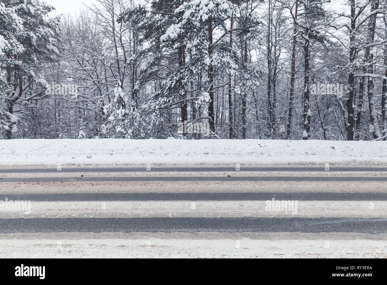Highway through pine tree forest hi-res stock photography and images ...