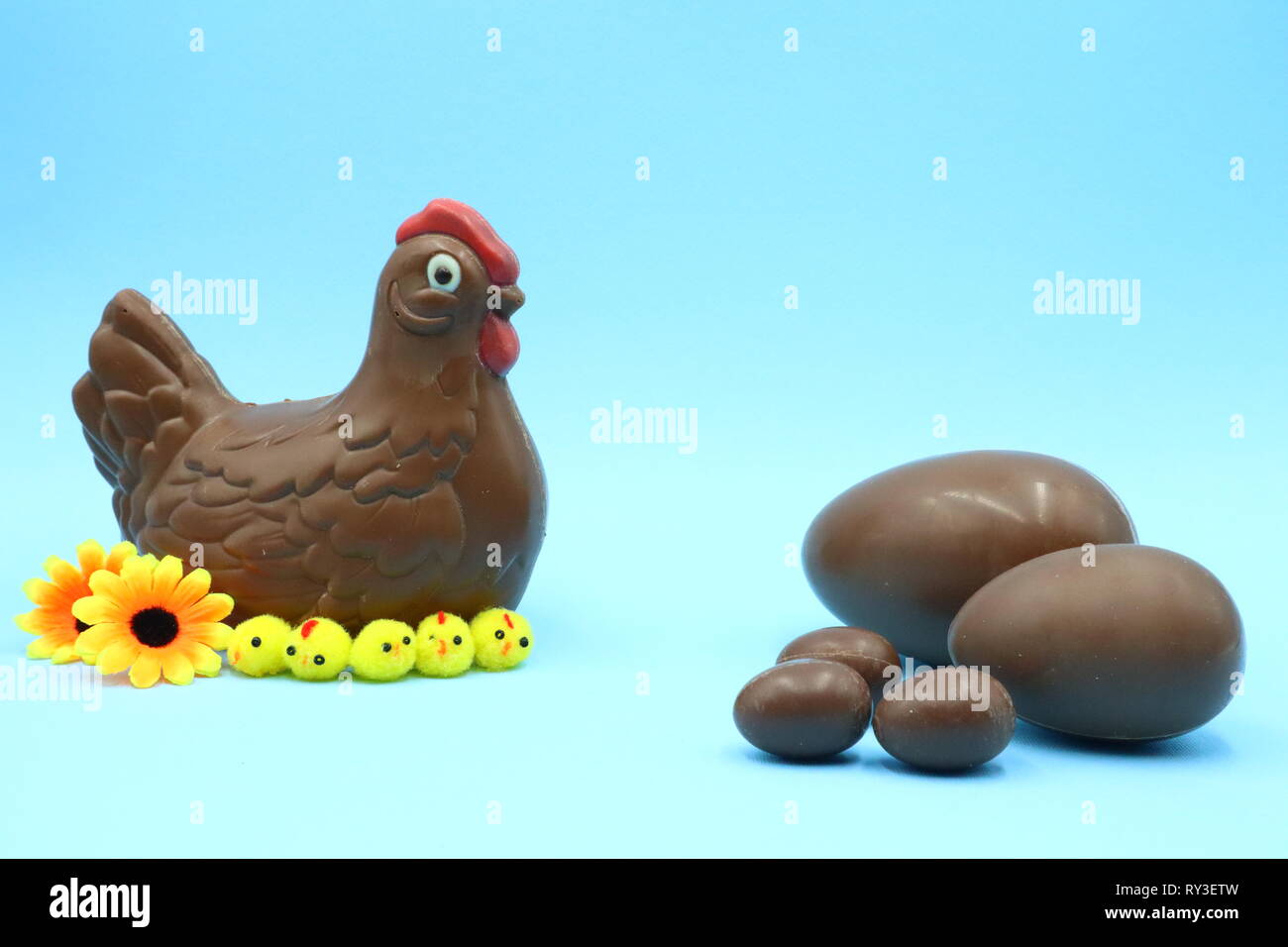 Funny Easter Composition with Chocolate Hen Stock Photo - Alamy