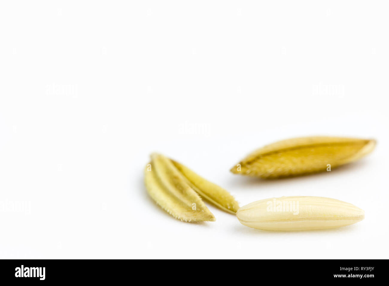 Closeup yellow rice seed on a white background Stock Photo - Alamy