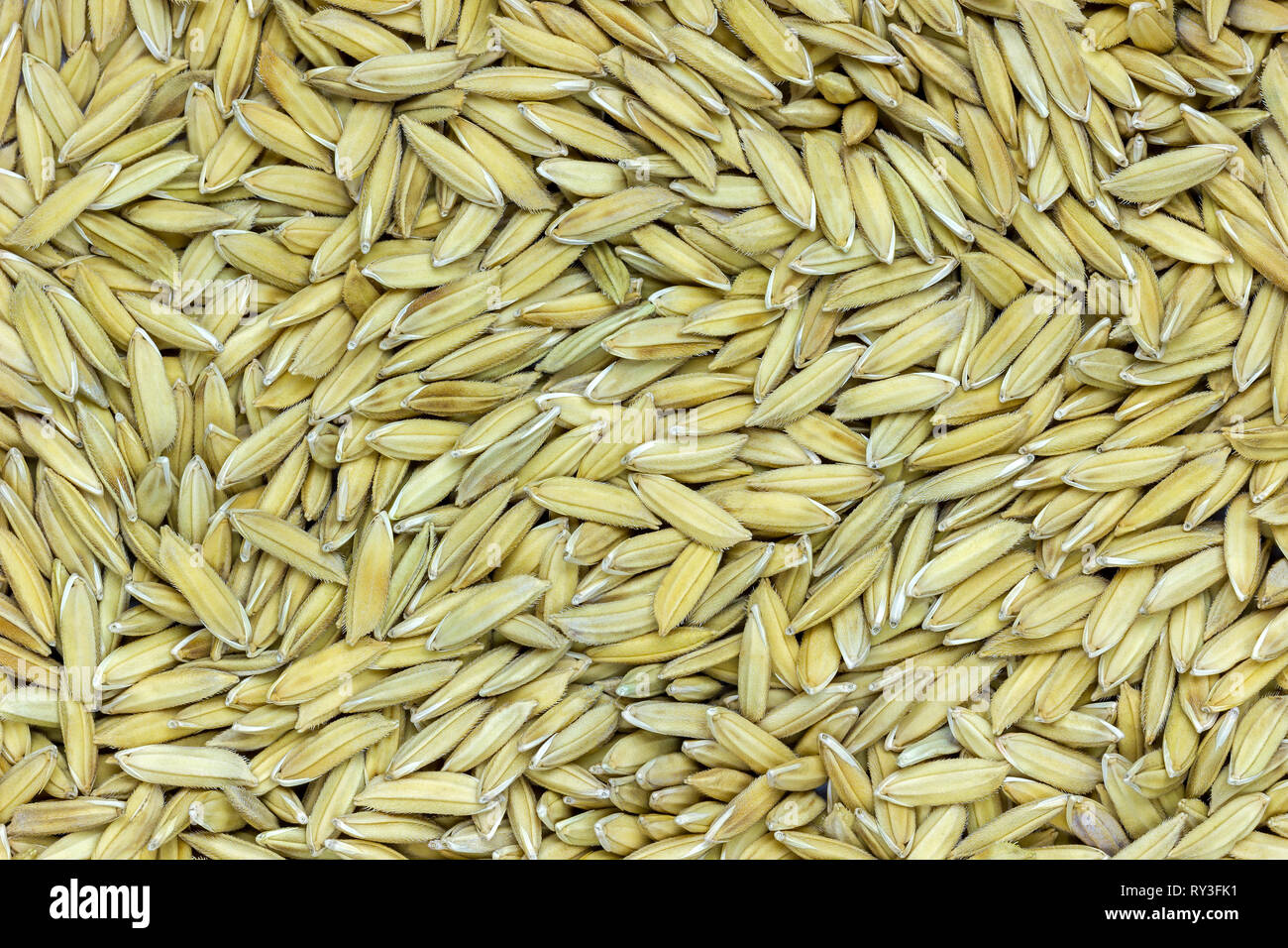 Paddy Texture High Resolution Stock Photography and Images - Alamy