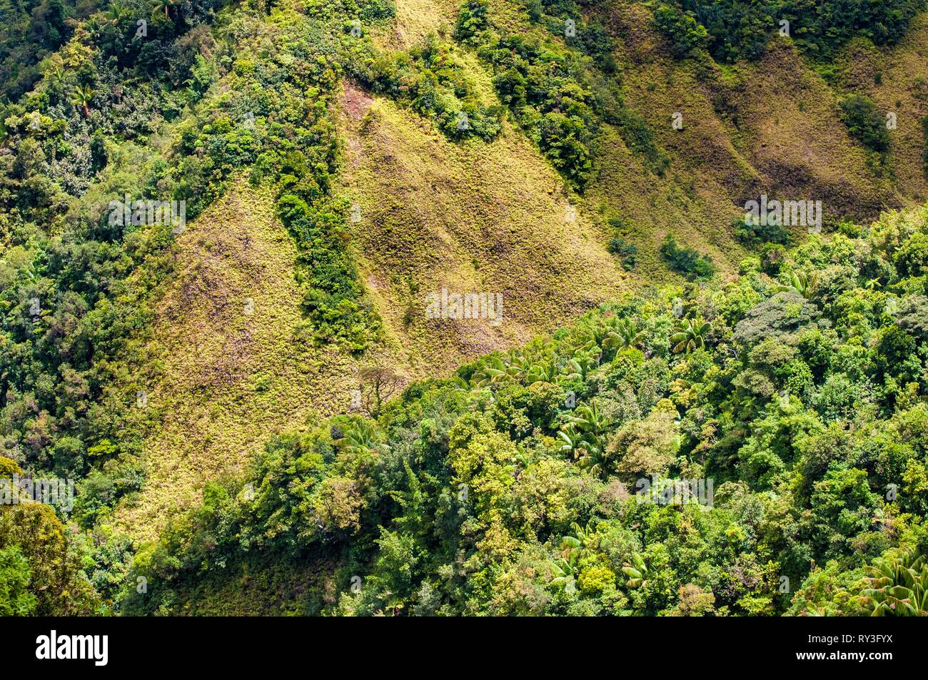 Dominica, Morne Trois Pitons National Park inscribed on the World ...
