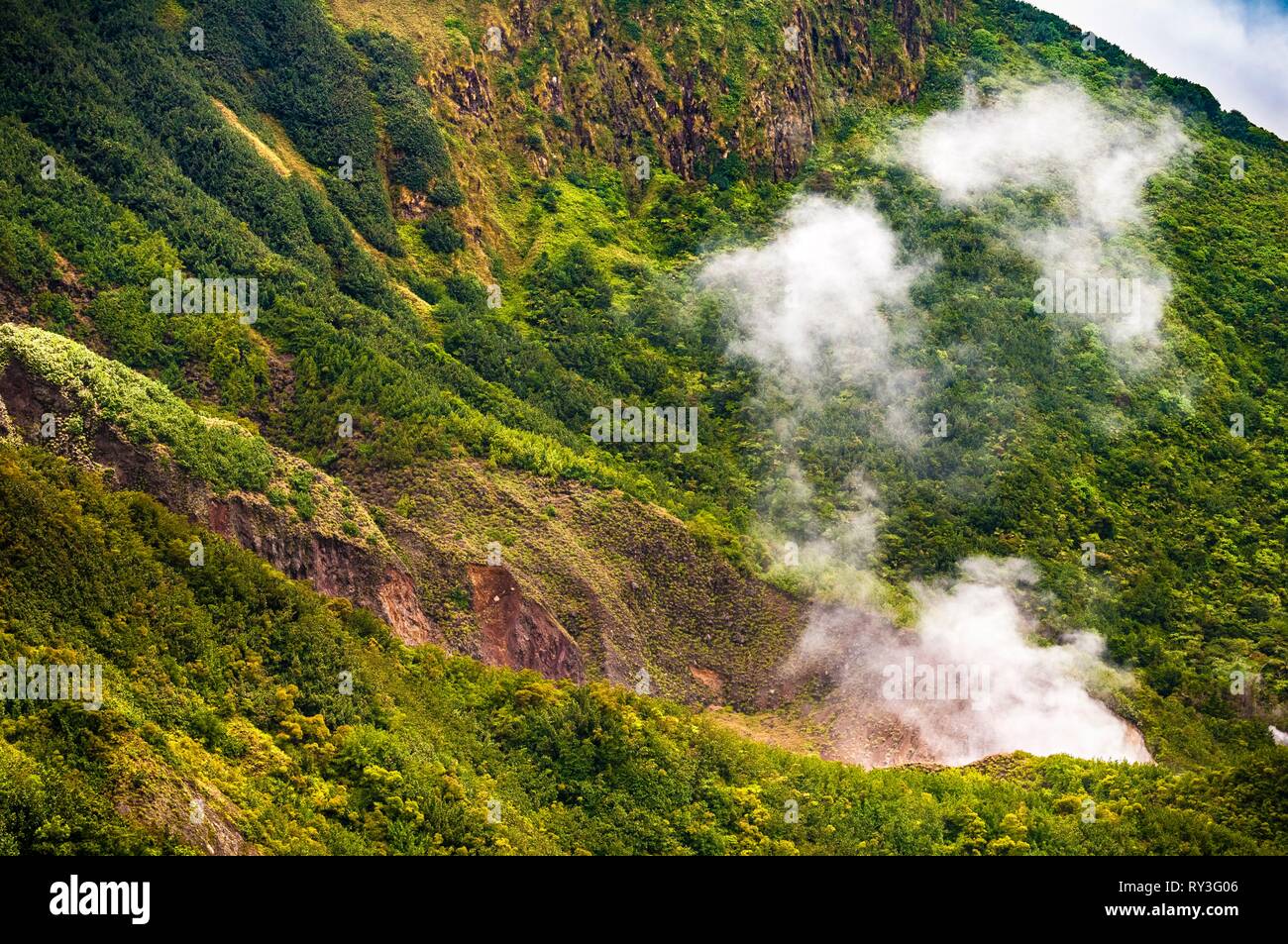On island dominica hi-res stock photography and images - Alamy