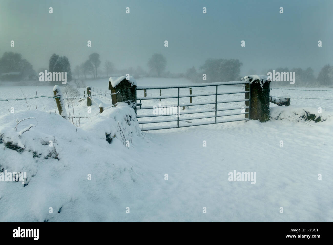 Winter country side, County Mayo, Republic of Ireland Stock Photo - Alamy