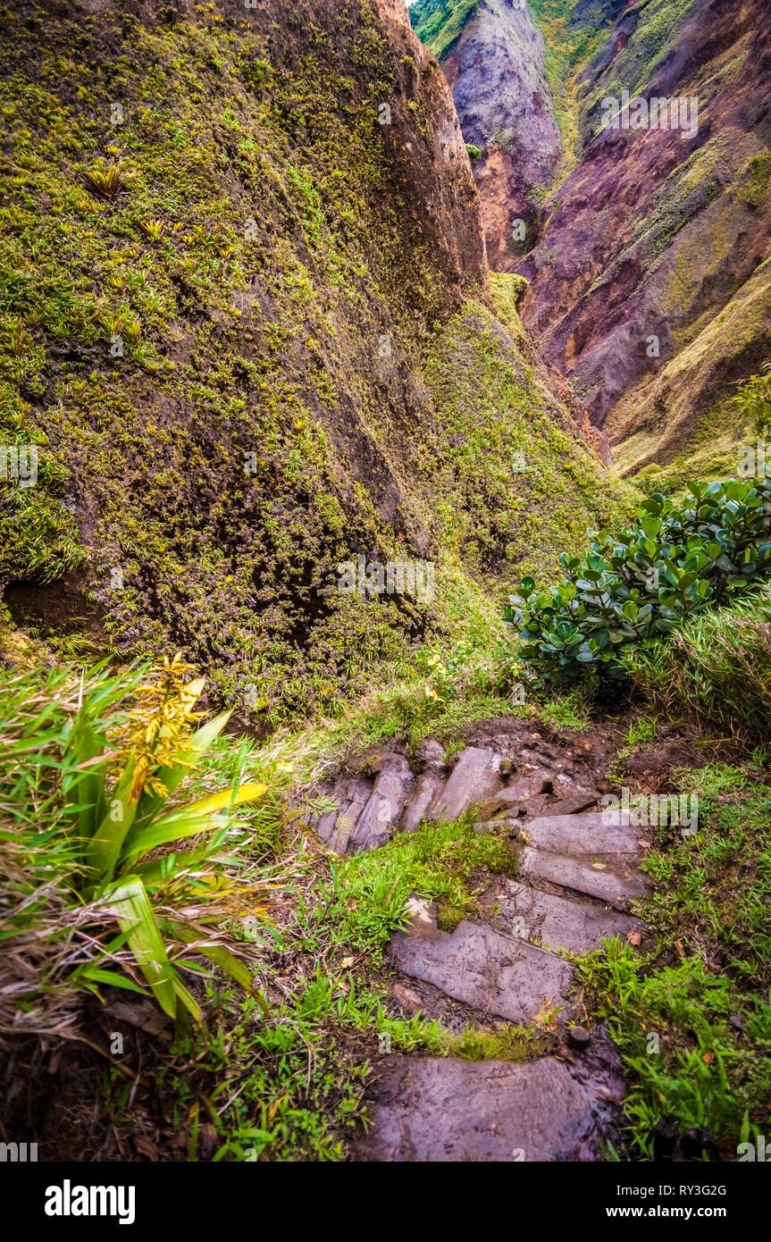 Dominica, Morne Trois Pitons National Park inscribed on the UNESCO ...