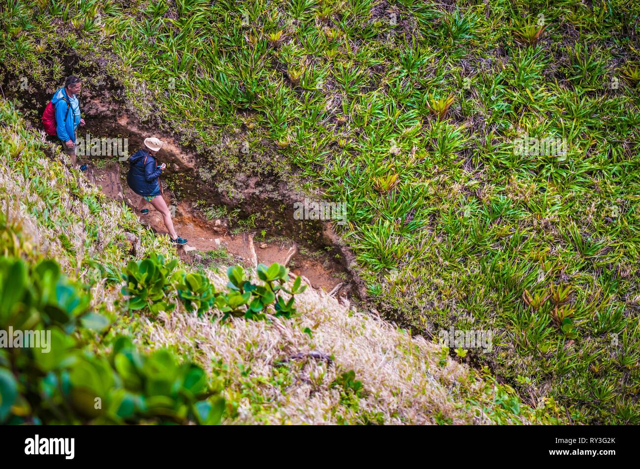 Dominica, Morne Trois Pitons National Park inscribed on the UNESCO ...