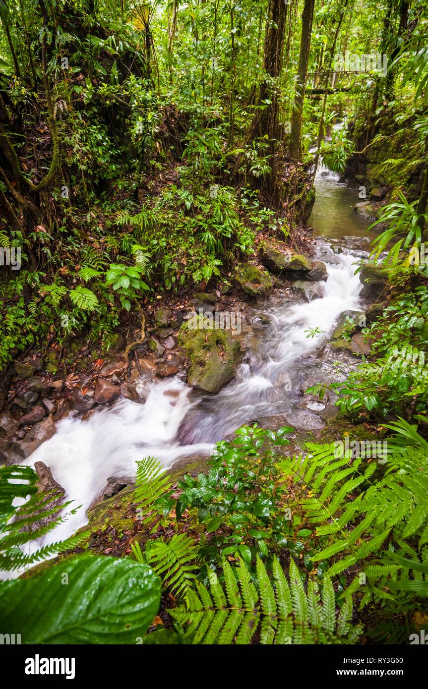 Dominica, Castle Bruce, Morne Trois Pitons National Park inscribed on ...